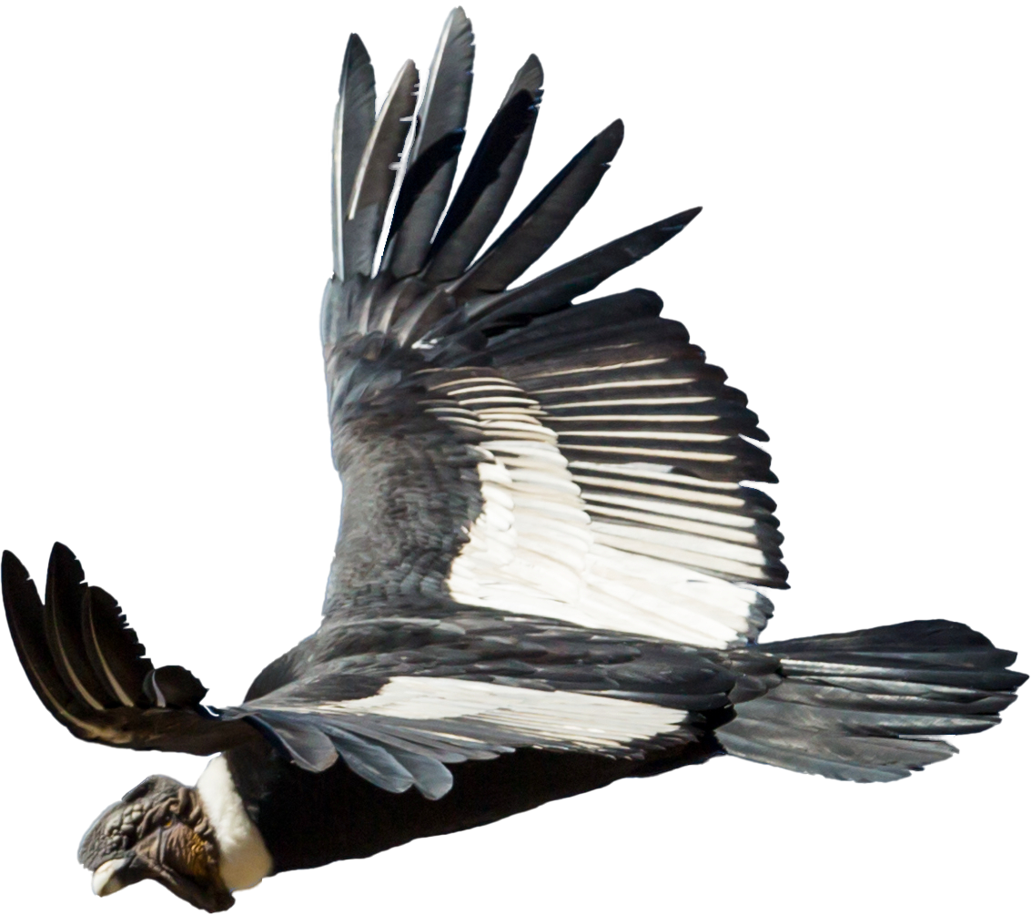 What We Do - Sacred Sundance